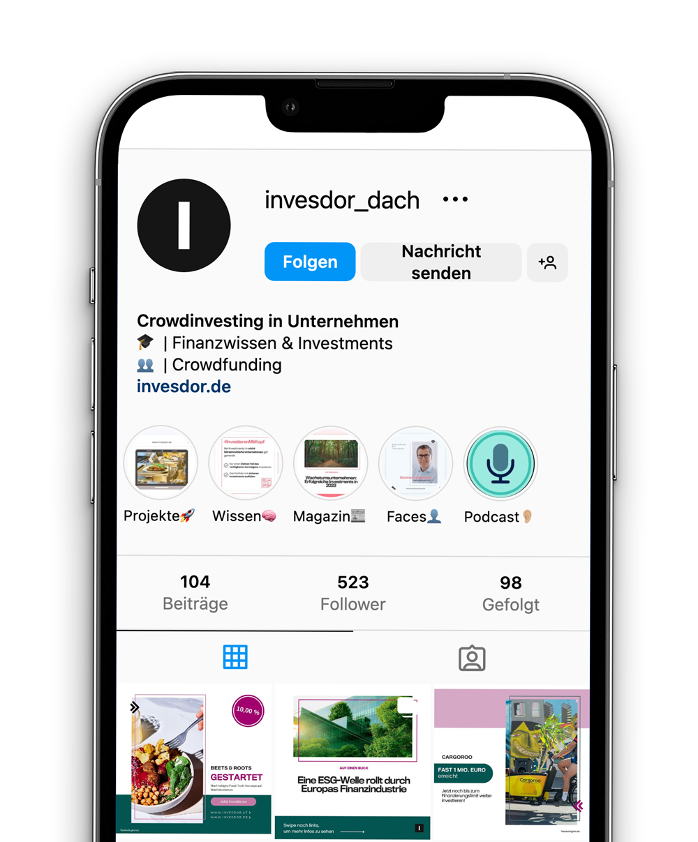 Invesdor Academy - Investment Guide